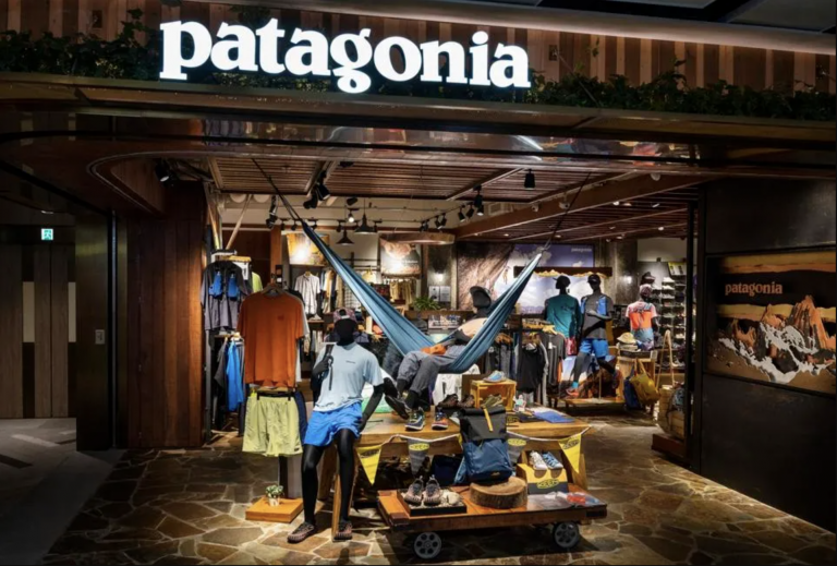 Sustainable Success: Patagonia’s Unique Approach to Digital Marketing